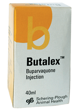 Butalex for Theileriosis Treatment in Cattle - CKL Africa | CKL Africa Ltd