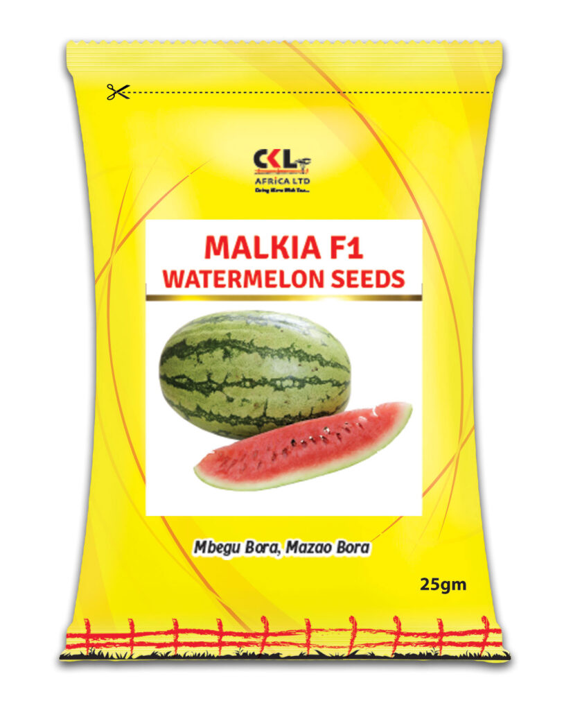 Buy Malkia F1 Watermelon Seeds in Kenya. Early Maturing Variety | CKL ...